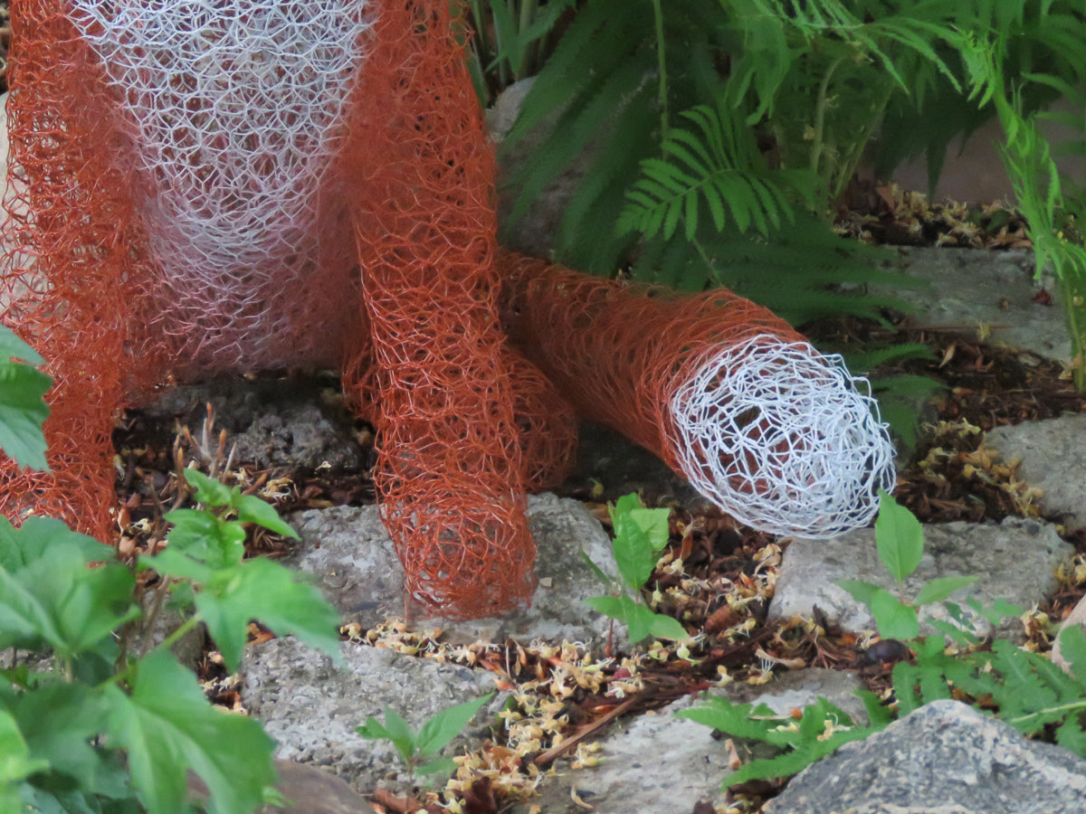 Chicken Wire "Fox Red or White" -Garden Art Sculpture – Wire Artist ...